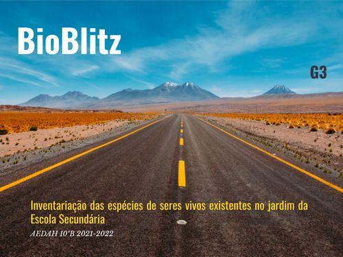 Book Creator | Bioblitz