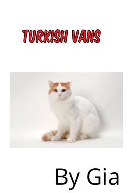 Book Creator | Turkish Vans Cats