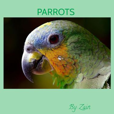 Book Creator | PARROTS