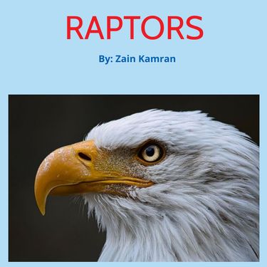 Book Creator | Raptors