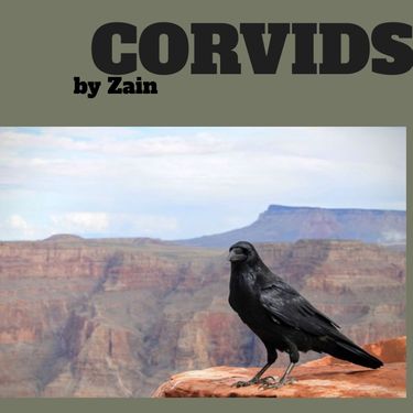 Book Creator | CORVIDS