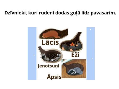 Book Creator | Dzīvnieki, kuri rudenī iet gulēt.