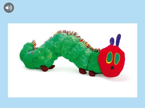 Book Creator | IL PICCOLO BRUCO MAI SAZIO