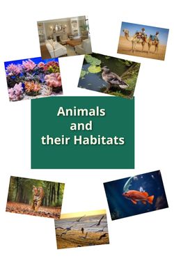 Book Creator | Animals and their habitats