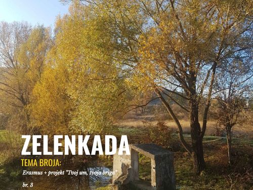 Book Creator | Zelenkada