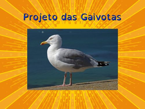 Book Creator | Projeto das Gaivotas