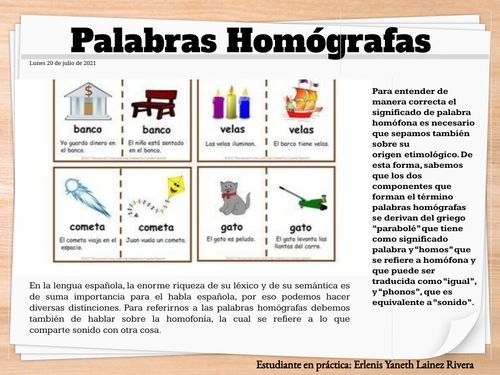 Book Creator | Palabras Homógrafas