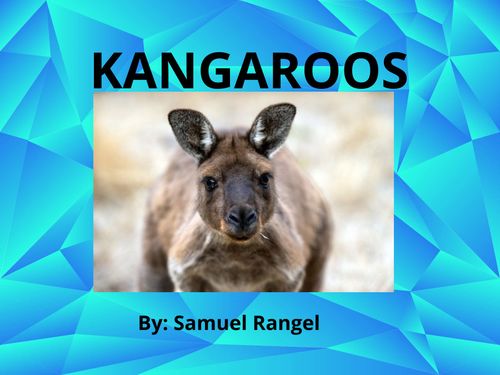 Book Creator | Kangaroos