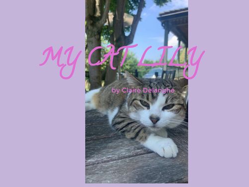 Book Creator | My Cat Lily