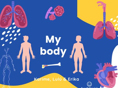 Book Creator | My body
