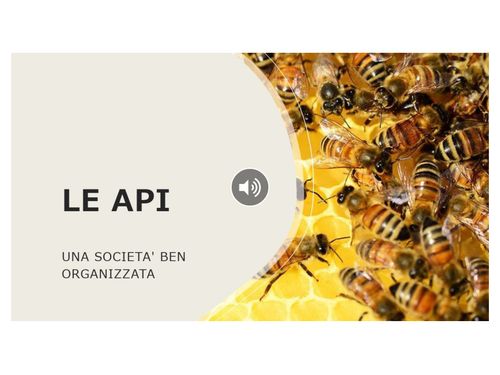 Book Creator | Le api: una società ben organizzata