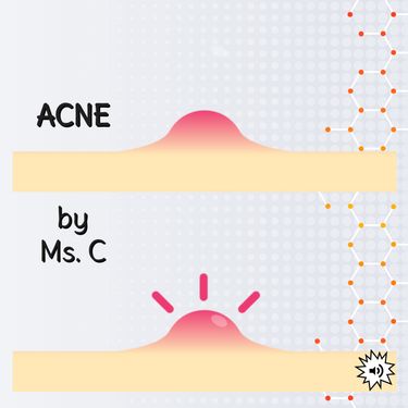 Book Creator | (copy) (copy) ACNE