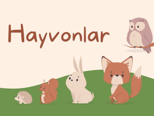 Book Creator | Kitob