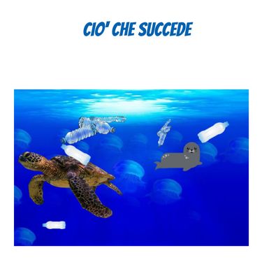 Book Creator | CIO' CHE SUCCEDE