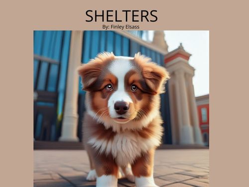 Book Creator | shelters