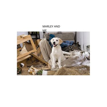 Book Creator | Marley and me