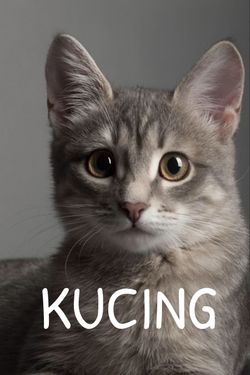 Book Creator | KUCING