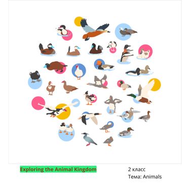 Book Creator | Animals Kingdom