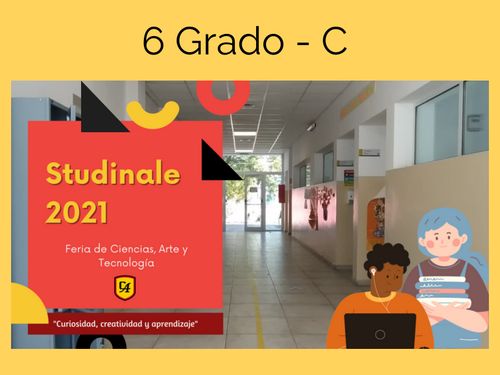 Book Creator | 6C - Studinalle 2021