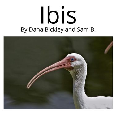 Book Creator | Ibis