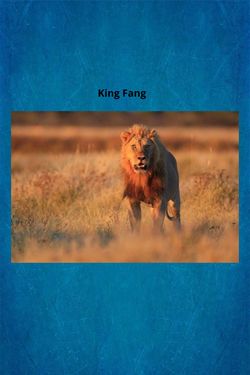 Book Creator | King Fang