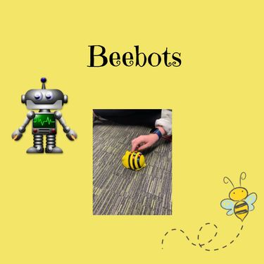 Book Creator | BeeBots