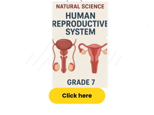 Book Creator | HUMAN REPRODUCTIVE SYSTEM