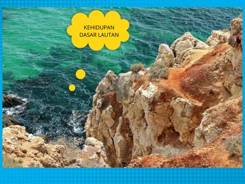 Book Creator | KEHIDUPAN DI DASAR LAUTAN