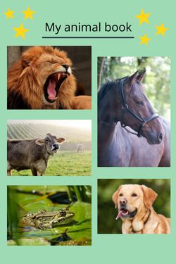 Book Creator | My animal book