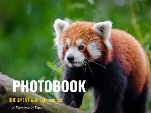 Book Creator | photobook with cute animals