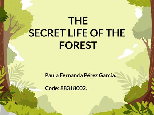 Book Creator | The secret life of the forest.