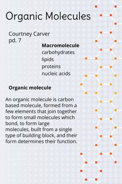 Book Creator | Organic Molecules