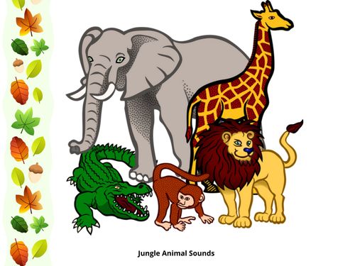 Book Creator | Jungle Animal Sounds