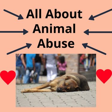 Book Creator | Animal Abuse