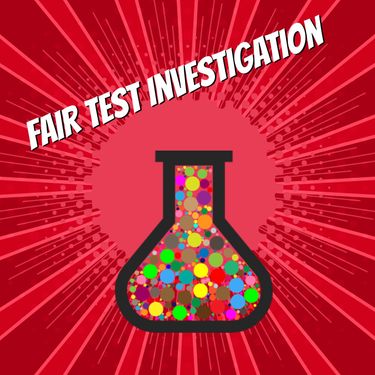 Book Creator | Fair Test Investigation