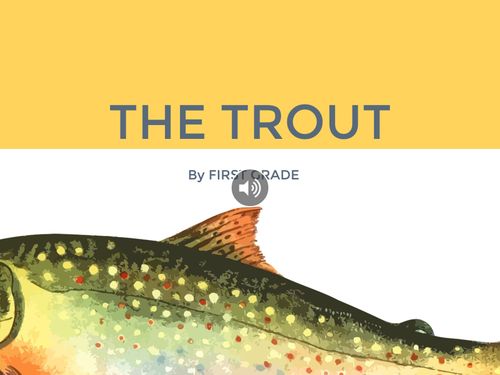 Book Creator | trout english