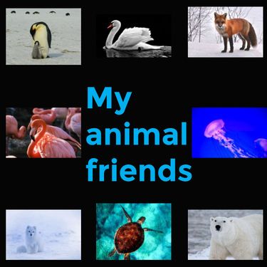 Book Creator | My animal friends