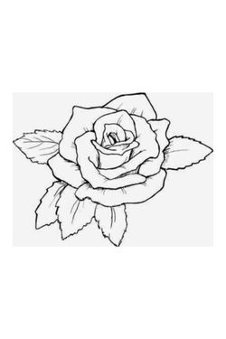 Book Creator | cvete