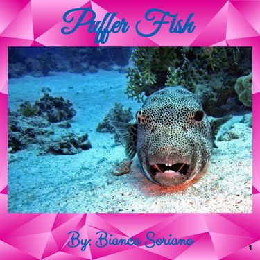 Book Creator | Puffer fish