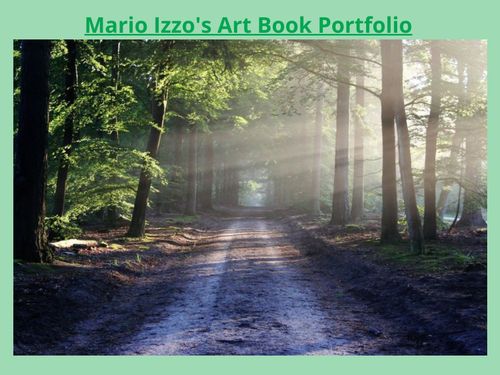 Book Creator | Mario Izzo's Art Book Portfolio