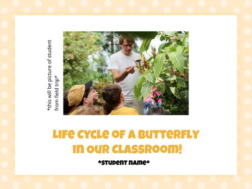 Book Creator | ECE 479 Tech Sample