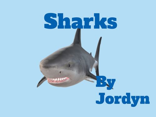 Book Creator | Sharks