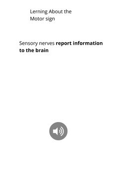 Book Creator | Learning About the Motor nerves with Dakota