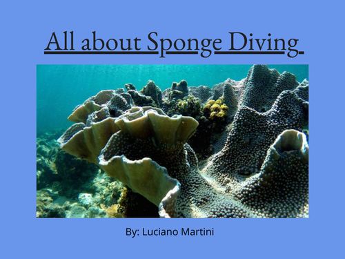 Book Creator | My sponge project