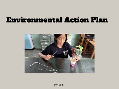 Book Creator | Environmental Action Plan