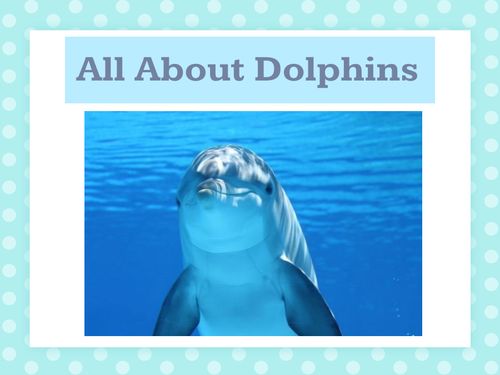 Book Creator | All About Dolphins