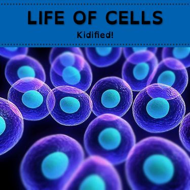 Book Creator | Life of Cells