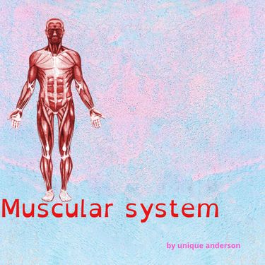 Book Creator | The muscular system