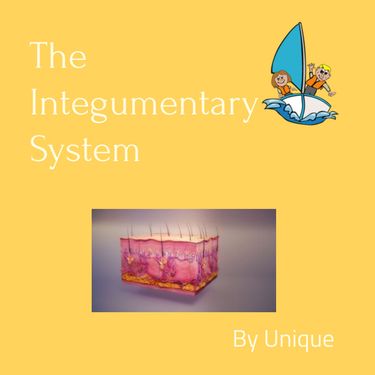 Book Creator | The Integumentary system