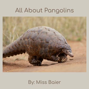 Book Creator | All About Pangolins